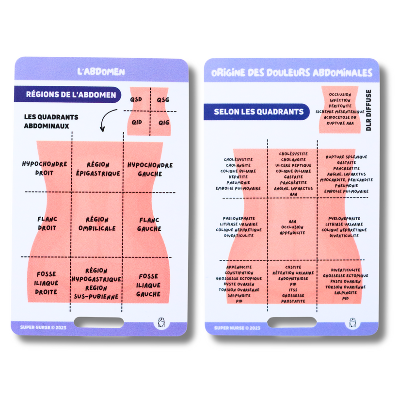 Carte de référence - Régions de l'abdomen et origines pathologiques se ...