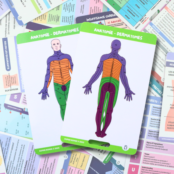 Carte de référence pour infirmière - Les dermatomes – Super Nurse