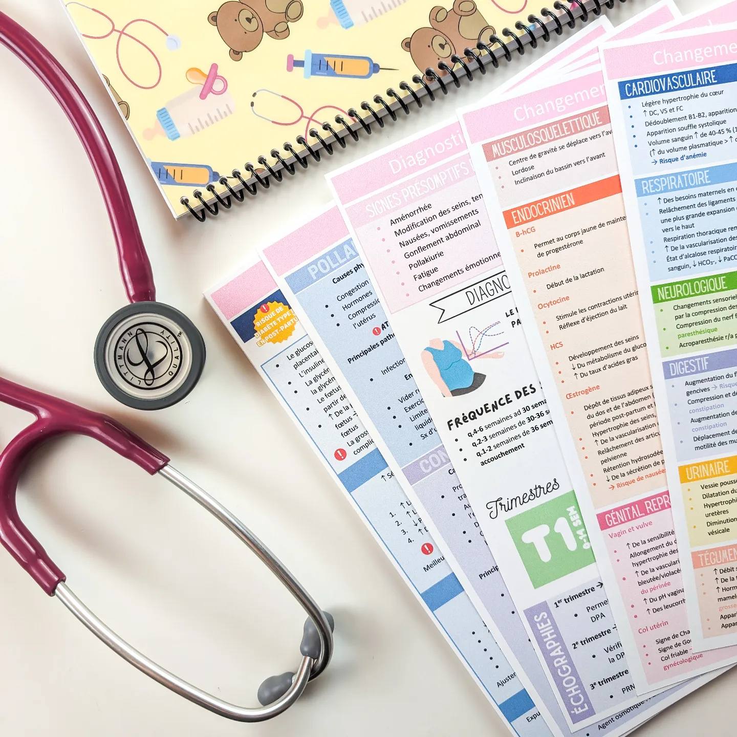 Guide préparatoire et accessoires pour infirmier et infirmière – Super ...